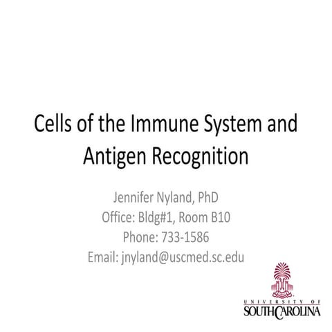 immune cells.ppt