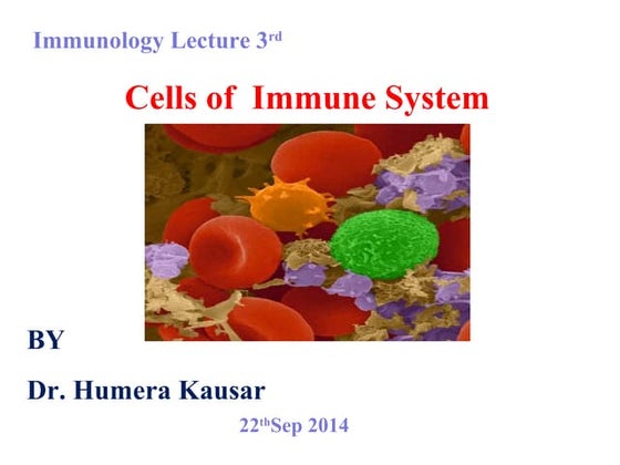 Cells of the immune system | PPTX