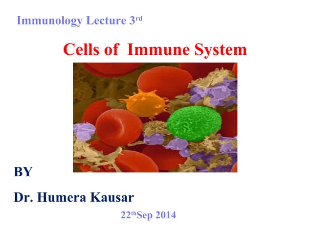 Cells of the immune system | PPTX