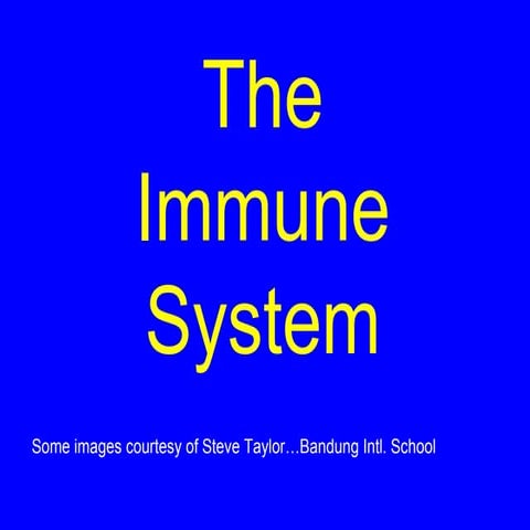 Immune ib master2009forupload | PPT