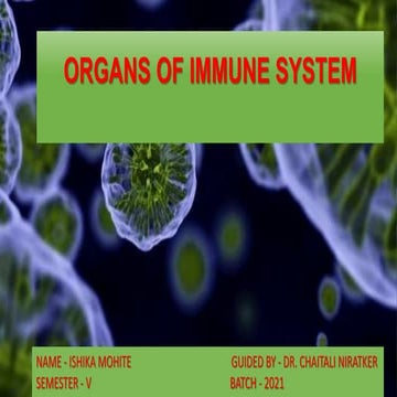 Immune organs and diseases related to it | PPT