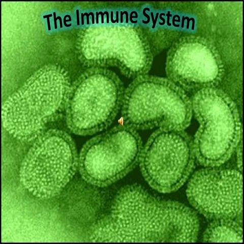 Immune system | PPT