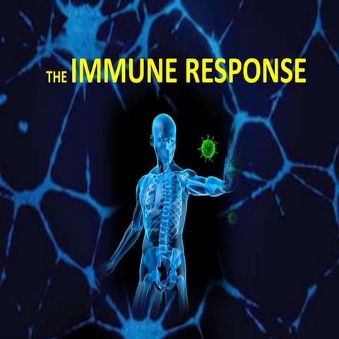 Cells of immune system