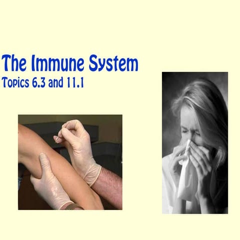 Immune system 6-3 and 11-1 | PPT