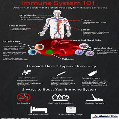 Immune System 101 Infographic | PDF