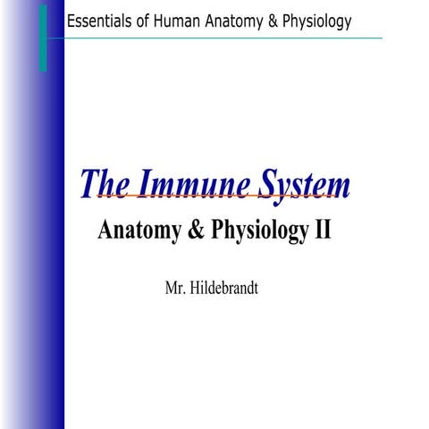 Immune System notes | PPT | Blood Disorders | Diseases and Conditions