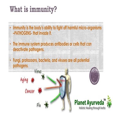 Immune Magic - Way to boost immune system | PPTX