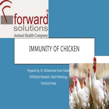 Immunity of chicken | PPTX