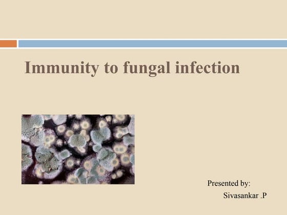 Immune response to fungal infection | PPT