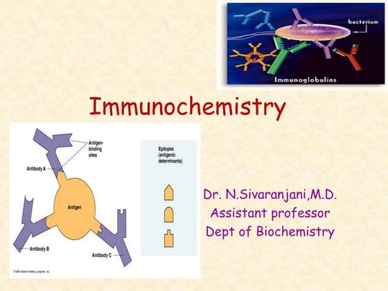Structure of immunoglobulins | PPT
