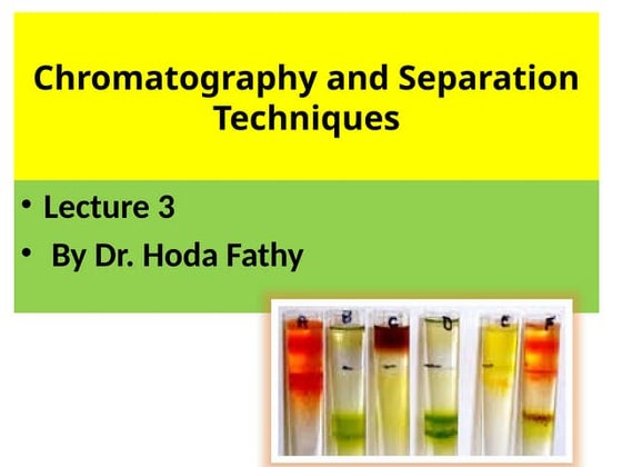 Immunochromatography.pptx rapid tests kits | PPT