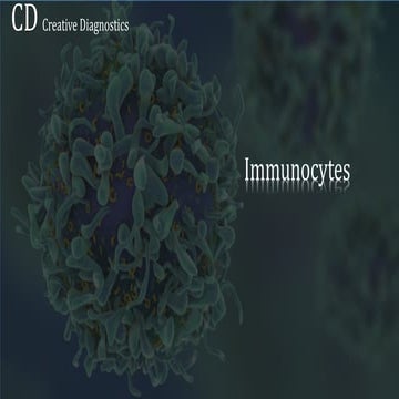 Immunocytes Creative Diagnostics Pptx