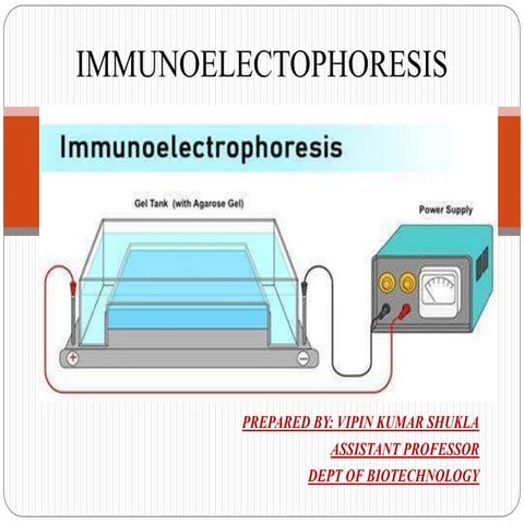 Immunodiffusion | PPTX
