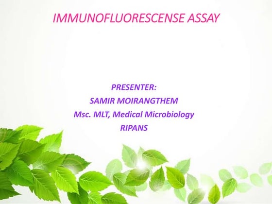 Immunofluorescence | PPT