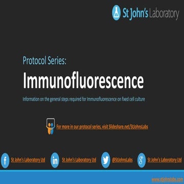 Immunofluorescence (IF) Protocol | PPTX