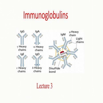 immunoglobulins-180429174626.pptx