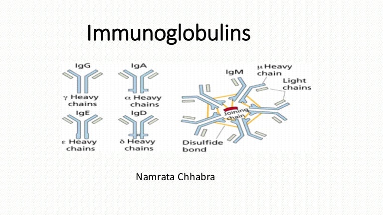 Immunoglobulins- Structure and function