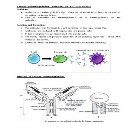 03. Antibodies .pptx