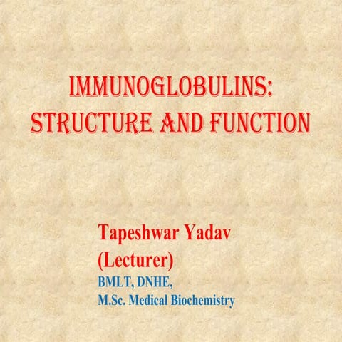 Immunoglobulins | PPT