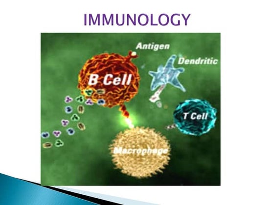 Structure of immunoglobulins | PPTX | Blood Disorders | Diseases and Conditions