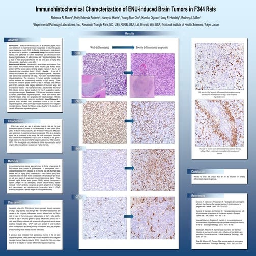 Immunohistochemical Characterization of ENU-induced Brain Tumors in ...