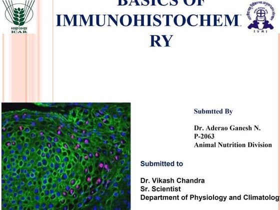 Immunocytochemistry Protocol | PPT