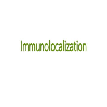 Immunolocalization | PPTX