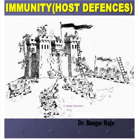 immuned system s in humans beings | PPT