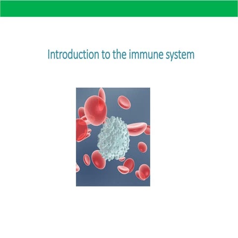 STEM 12 Biology 2: Plant and Animal Immune System | PPTX