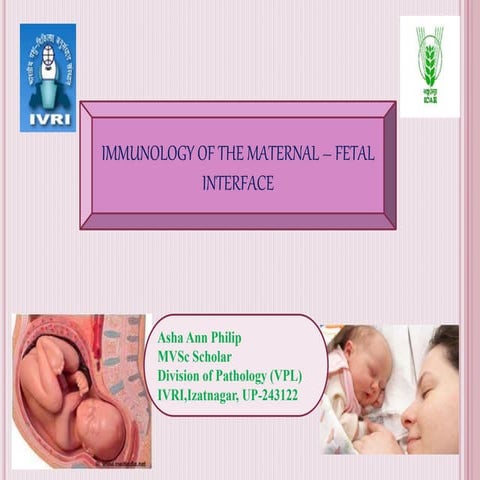 Immunology of maternal fetal interphase | PPSX