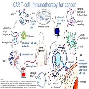 immunotherapy and alternative therapy for cancer.pptx
