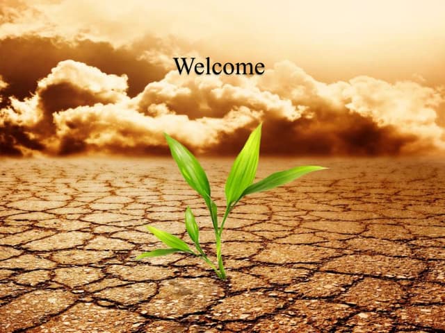 Agriculture and environment | PPTX | Agriculture | Industries