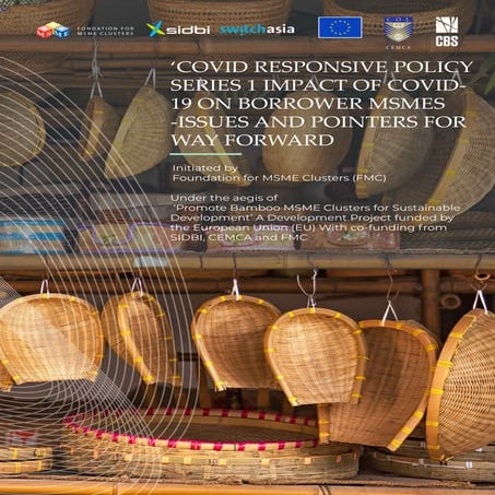 Promoting Sustainable Development of MSMEs - FMC | PDF