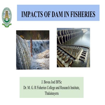 Impact of dams in Fisheries and measures to reduce impacts.pdf