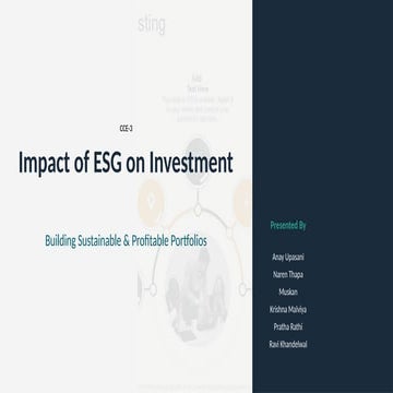 ESG Explained - Introduction | PDF