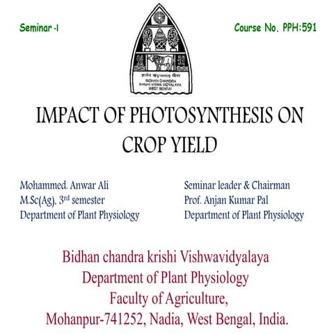 Impact of photosynthesis on crop yield | PPTX