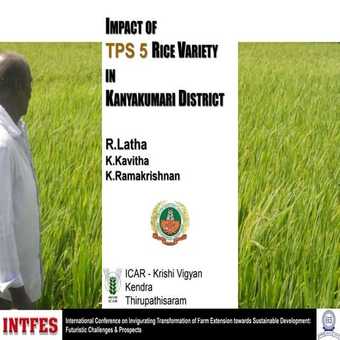 Impact of TPS 5 Rice Variety in Kanyakumari District, Tamilnadu, INDIA ...