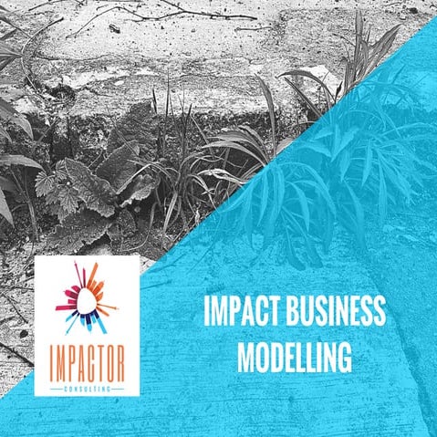 Impactor impact business modelling 3.6.2016
