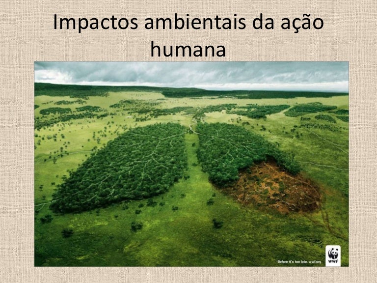 Impactos ambientais da ação humana