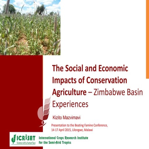 The Social and Economic Impacts of Conservation Agriculture | PPTX