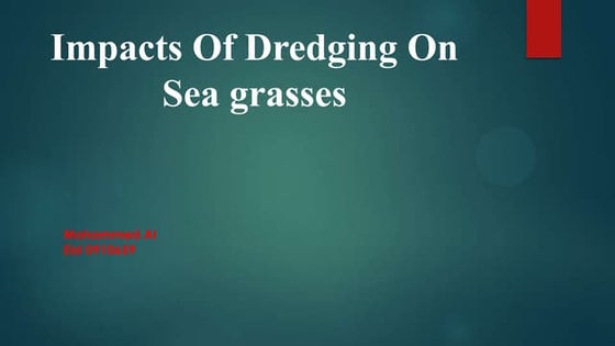 Restore Ubin Mangroves (R.U.M.) Initiative pamphlet (English) | PPT