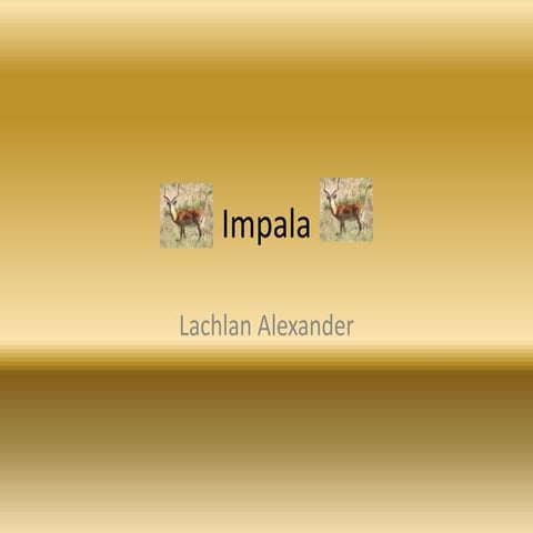 Impala | PPTX