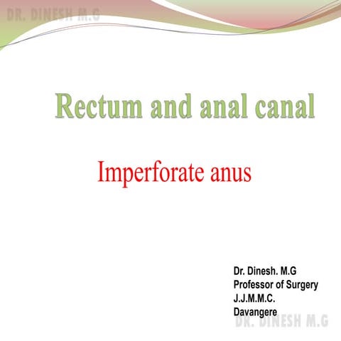 Imperforate Anus | PDF