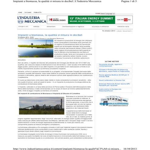 Boldrocchi - Impianti a biomassa | PDF
