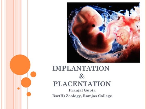 Placenta structure and functions | PPT | Pregnancy | Reproductive Health