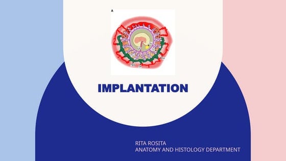 Implantation | PPT | Infertility | Reproductive Health