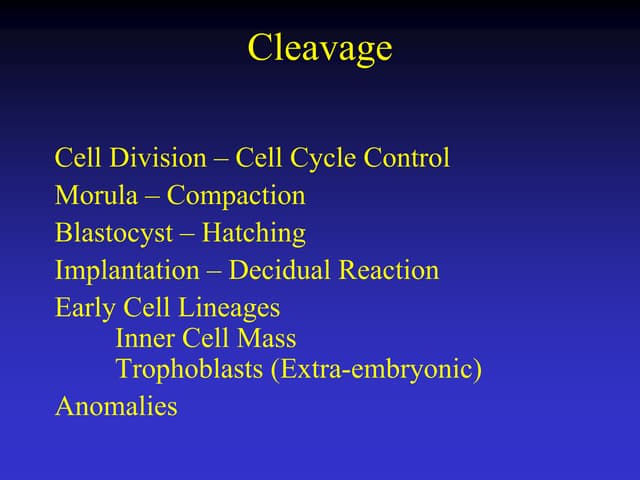 Human embryonic development | PPT