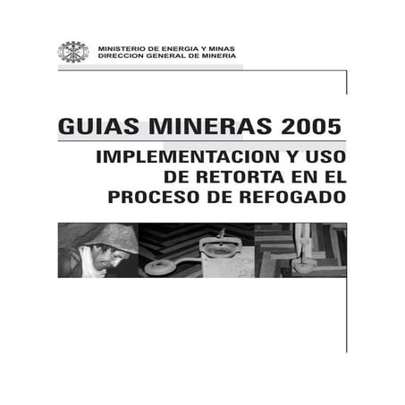 Implementacion y uso de retorta | PDF