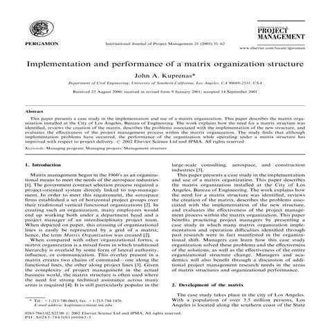 Implementation and performance of a matrix organization structure | PDF