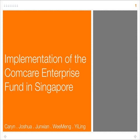 Implementation of the Comcare Enterprise Fund in Singapore | PDF